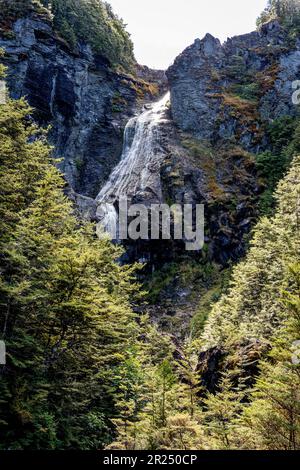 The Waitonga Falls At The End Of The Waitonga Falls Track, Ohakune ...