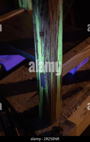 Fluorescing black locust wood used as table legs Stock Photo - Alamy