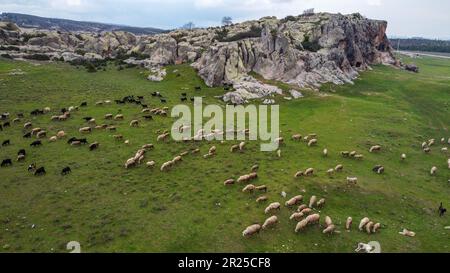 Afyonkarahisar, Turkey. 17th May, 2023. View of the interior of the ...