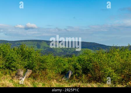 First steps along the Rennsteig between Hörschel and Blankenstein in ...