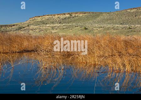 Krumbo Reservoir, Malheur National Wildlife Refuge, Oregon Stock Photo ...