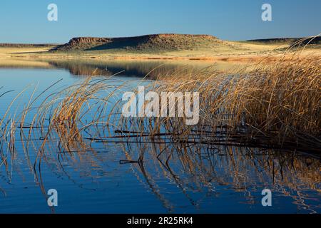 Krumbo Reservoir, Malheur National Wildlife Refuge, Oregon Stock Photo ...