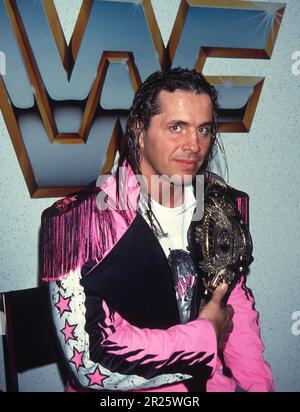1991 Bret Hart John Barrett/PHOTOlink Stock Photo - Alamy
