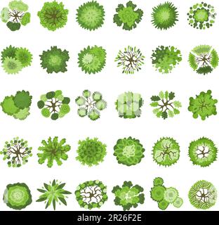 Trees top view. Different plants and trees vector set for architectural ...