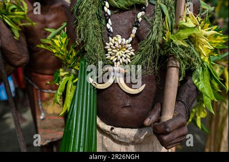 In the Solomon Islands, chiefs often wear necklaces as part of their ...