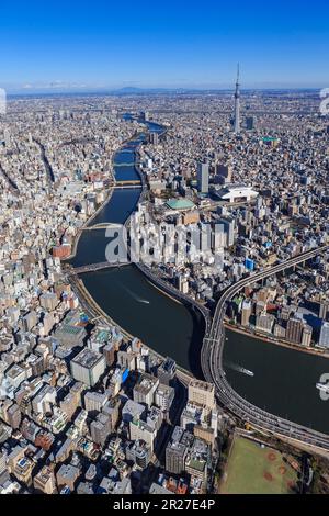 Bridges in various colors across Sumida River and Sky Tree seen from ...