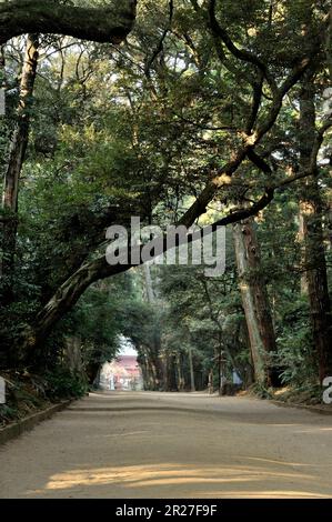 Approach to Kashima Jingu Shrine Stock Photo - Alamy