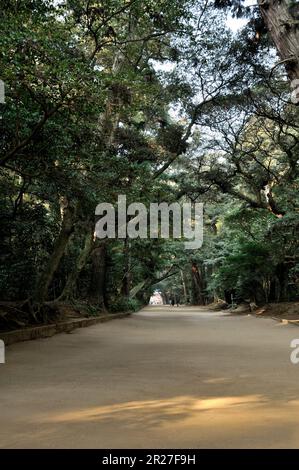 Approach to Kashima Jingu Shrine Stock Photo - Alamy