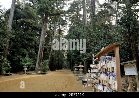 Approach to Kashima Jingu Shrine Stock Photo - Alamy
