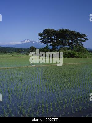 Mount Chokai and Kujuku Islands Stock Photo - Alamy