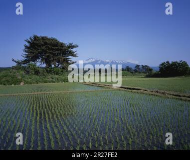 Mount Chokai and Kujuku Islands Stock Photo - Alamy