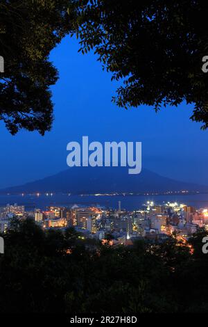Night view of Sakurajima from Shiroyama Park Stock Photo - Alamy