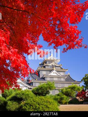 Fall colors and Okayama Castle Stock Photo - Alamy
