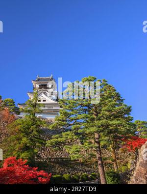 Fall colors and Kochi Castle Stock Photo - Alamy
