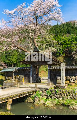 Ichijodani Asakura Clans Ruins, Chinese gate Stock Photo - Alamy