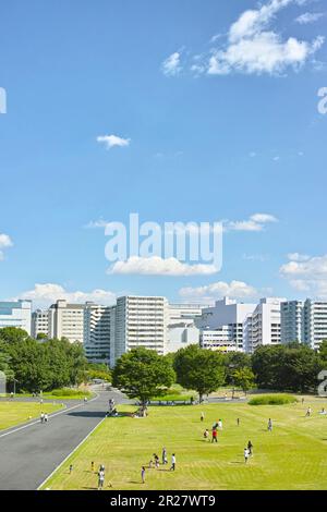 Tachikawa city buildings and the Showa Memorial Park Stock Photo - Alamy