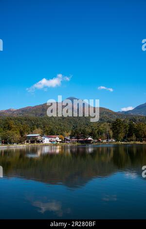 Yokodake (Mt. Yatsugatake, Nagano Prefecture, from the vicinity of ...