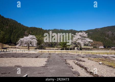 Ichijodani Asakura Clan ruins garden Stock Photo - Alamy