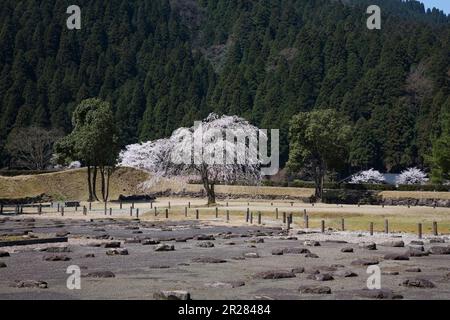 Ichijodani Asakura Clan ruins garden Stock Photo - Alamy