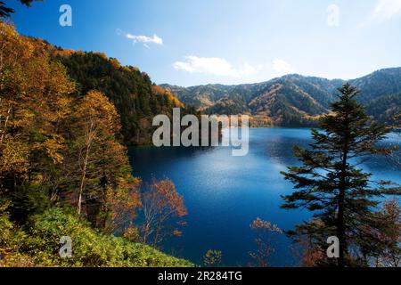 Onuma ike/ pond Stock Photo - Alamy
