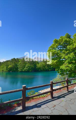 Fresh green goshiki-numa （ bishamon swamp ） and Mt. Bandai Stock Photo ...