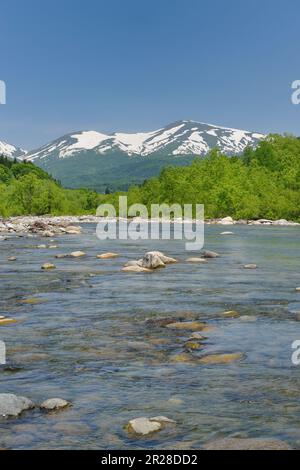 Sagae River with fresh green and Gassan with snow Stock Photo - Alamy