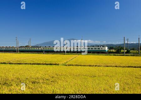 Limited express train Inaho running along JR Uetsu main line, Mount ...