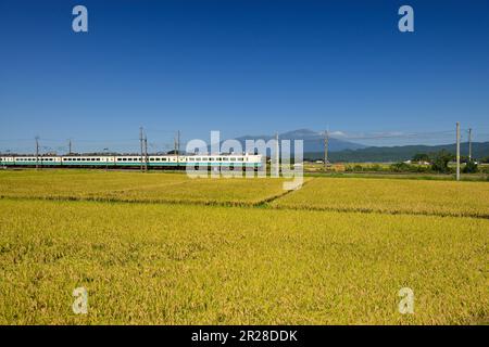 Limited express train Inaho running along JR Uetsu main line, Mount ...
