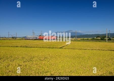 JR Uetsu main line, Mount Chokaisan and rice plants Stock Photo - Alamy