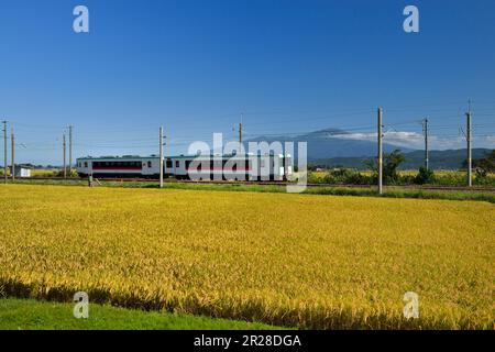 JR Uetsu main line, Mount Chokaisan and rice plants Stock Photo - Alamy