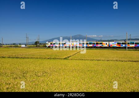 Glimpse of rapid express train Kirakira Uetsu running on JR Uetsu main ...
