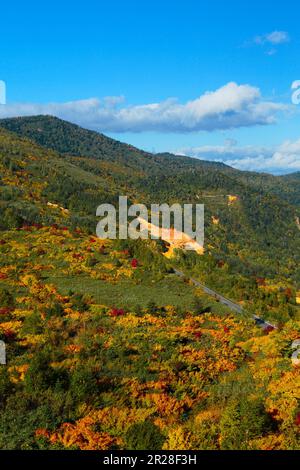 Autumn leaves viewed from Hachimantai Aspite Line Stock Photo - Alamy