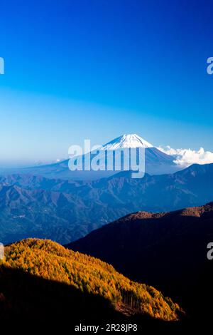Mt. Fuji autumn leaves Stock Photo - Alamy