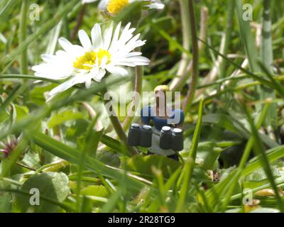 Model construction figure Stock Photo - Alamy