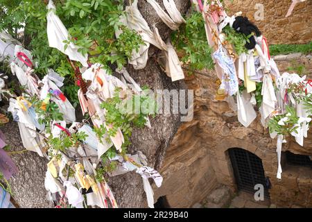 Fabric adorned sacred tree at the entrance to the subterranean church ...