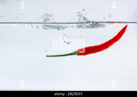 Red chilli, water splashes, solated on a white background Stock Photo ...