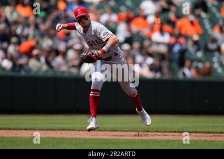 Los Angeles Angels shortstop Zach Neto runs on the field during batting ...