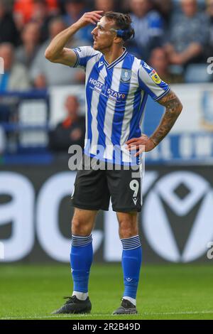 Lee Gregory #9 of Sheffield Wednesday and team mates going through ...