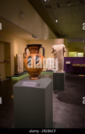 Attic black amphora depicting the God Apollo with a lyre between two ...