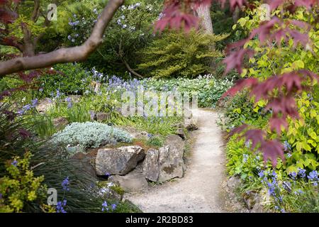 The National Botanic Gardens of Ireland. Spring in Dublin Stock Photo ...