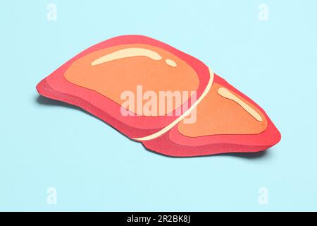 Orange paper liver on blue background Stock Photo - Alamy