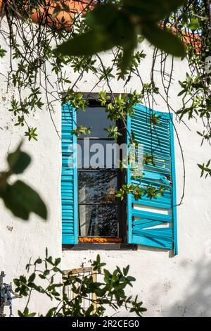 Kannally Ranch House, a historic Mediterranean Revival 1920s home in ...
