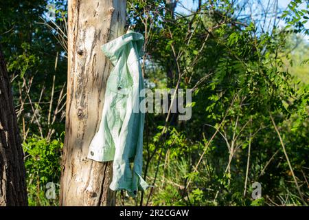 clothes hanging on tree at sunny dany Stock Photo - Alamy