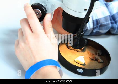 research with microscope as nice science background Stock Photo - Alamy