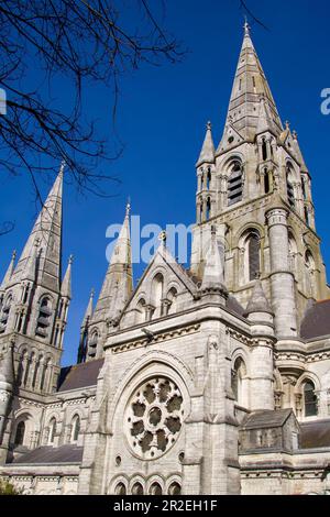 The spires of the Anglican Cathedral of St. Fin Barre in the Irish city ...