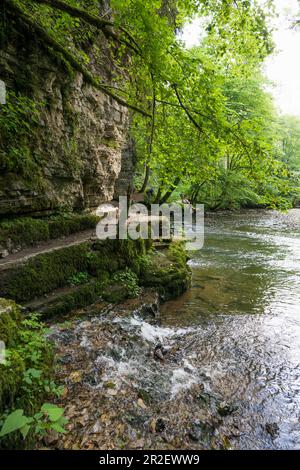 Wutach Gorge, Bonndorf, Baden-Württemberg, Black Forest, Germany Stock ...