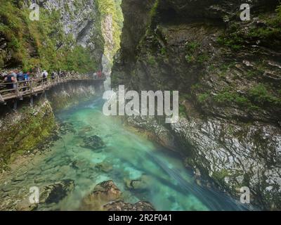 A panorama picture of the Vintgar Gorge, the Radovna Valley river and ...