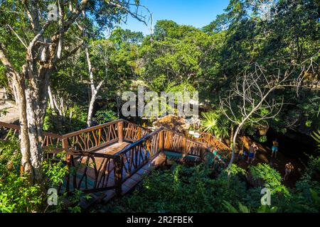 Gran Cenote - open karst cave in Tulum filled with water. Quintana Roo ...