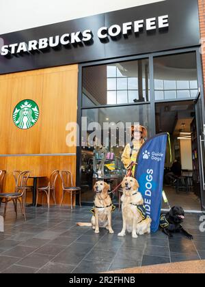 Karin Nape stops for coffee in Warrington during her 1000 mile walk ...