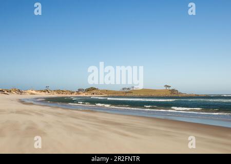 Back Beach in Angourie is one of the famous surfing spots around Yamba ...
